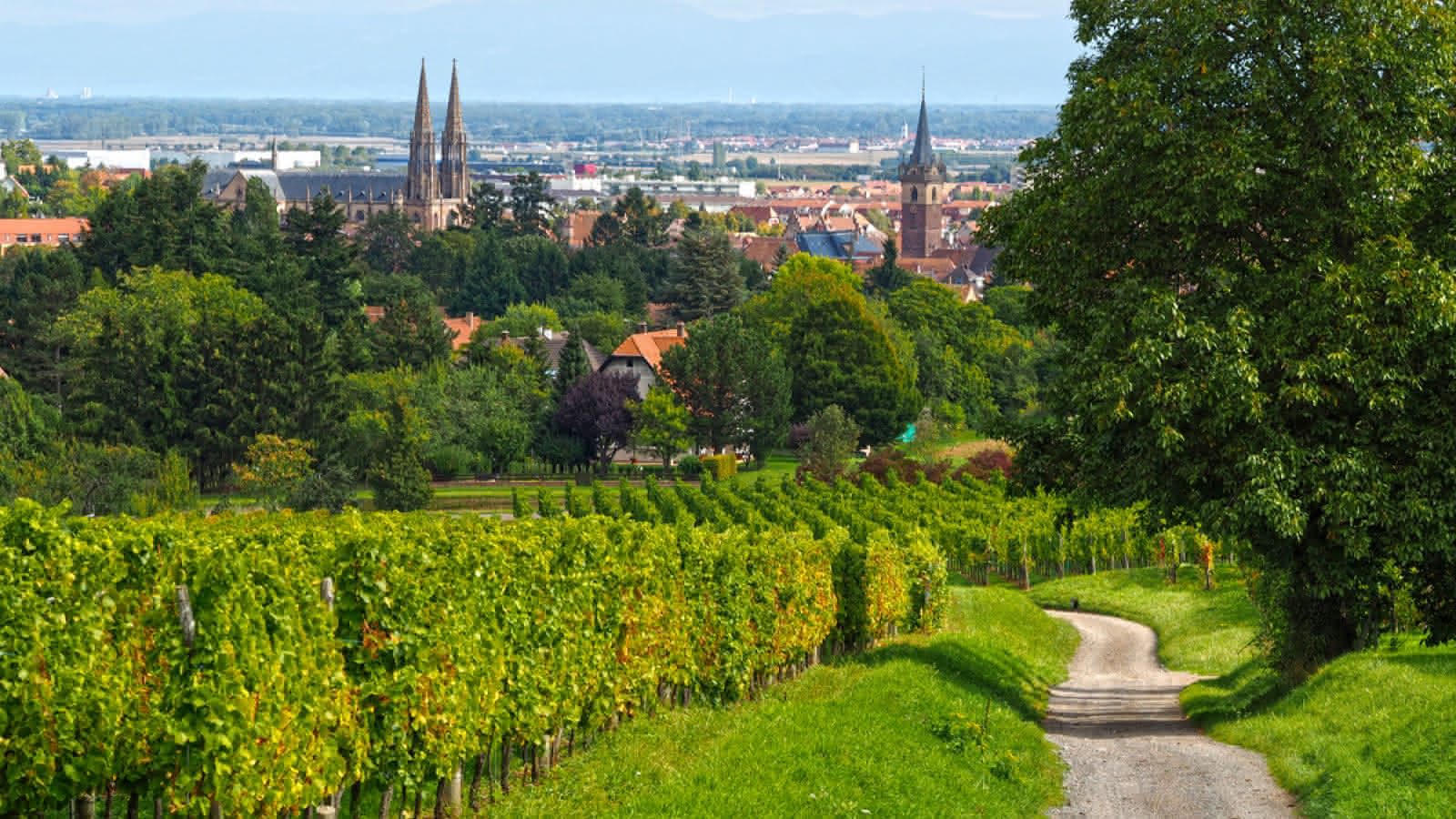 Obernai - Obernai | Visit Alsace